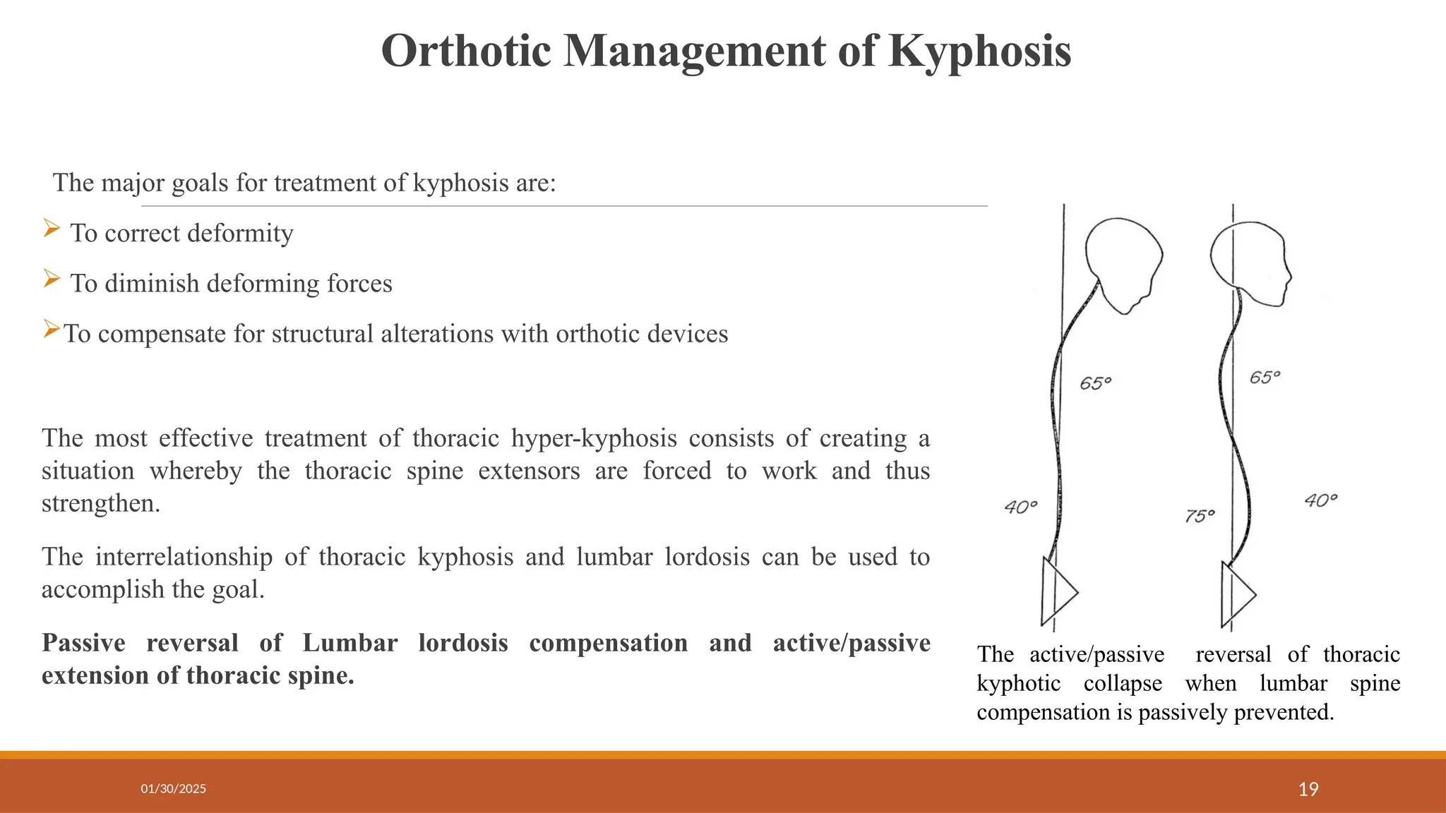 Biomechanical treatment approach for Scoliosis and Kyphosis and its ...