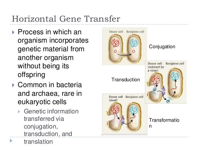 Horizontal gene transfer