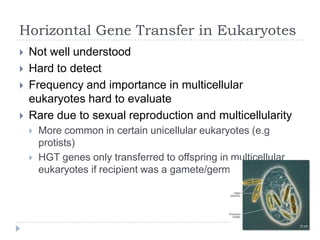 Horizontal gene transfer | PPTX | Biological Sciences | Science