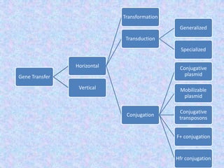 Horizontal gene transfer in bacteria | PDF