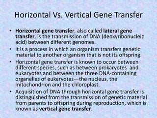 Horizontal gene transfer in bacteria | PDF