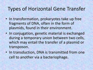 Horizontal Gene Transfer Transformation