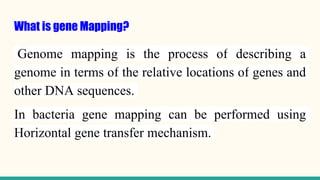 Horizontal gene transfer with gene mapping | PPTX