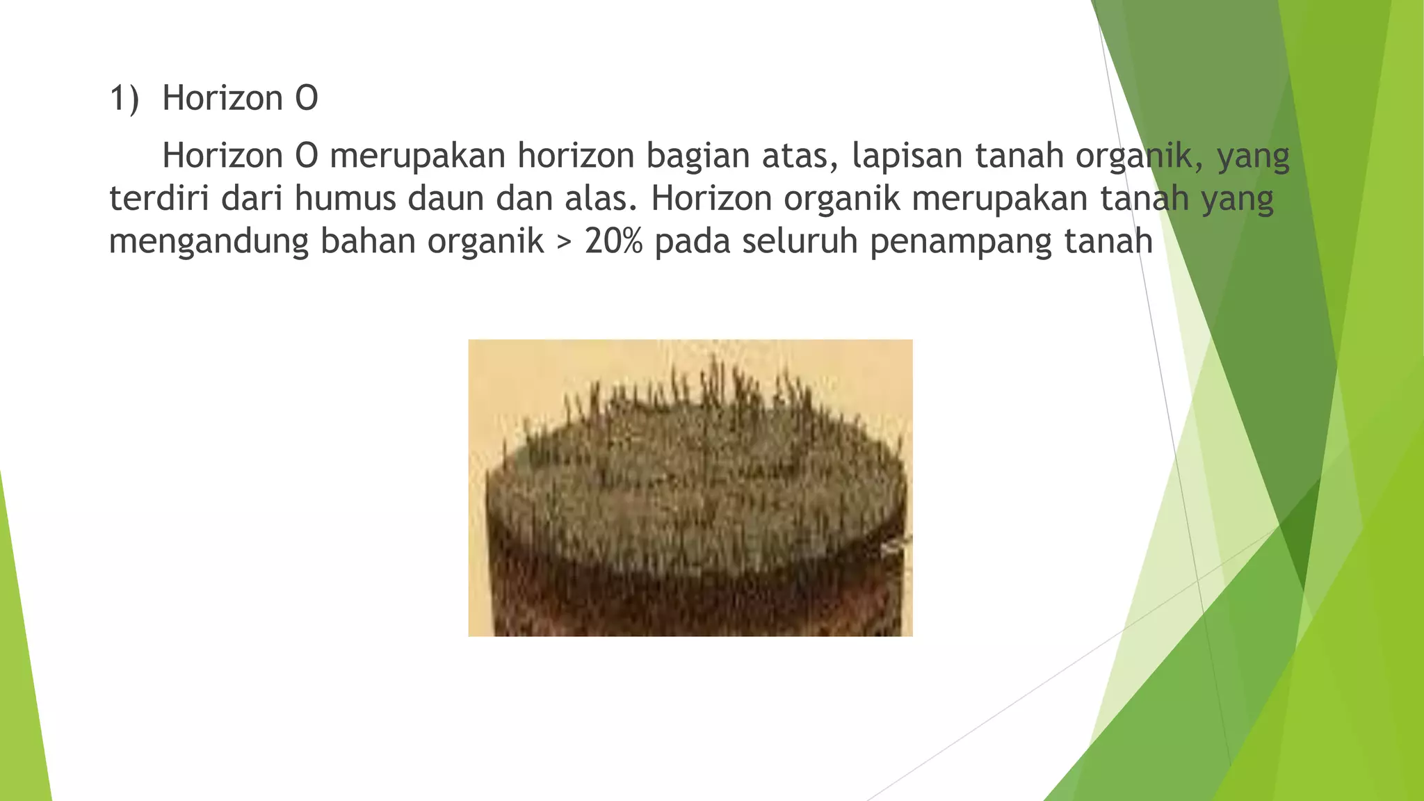 Horizon tanah | PPTX