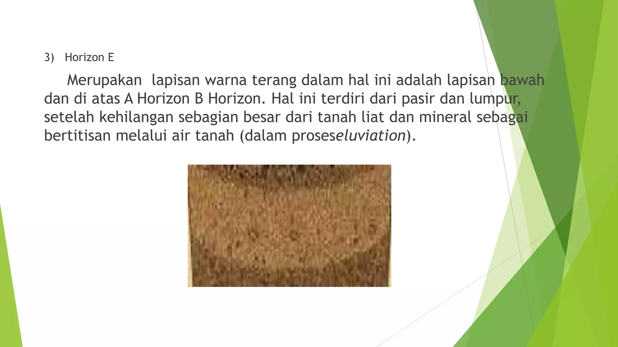 Horizon tanah | PPTX