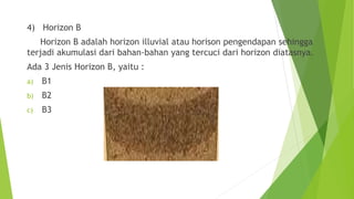 Horizon tanah | PPTX