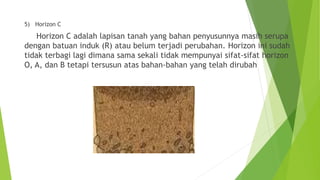 Horizon tanah | PPTX