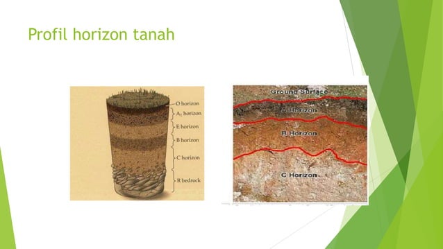 Horizon tanah | PPTX