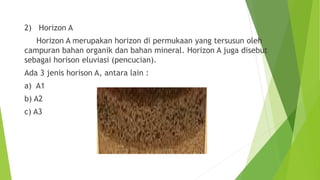 Horizon tanah | PPTX