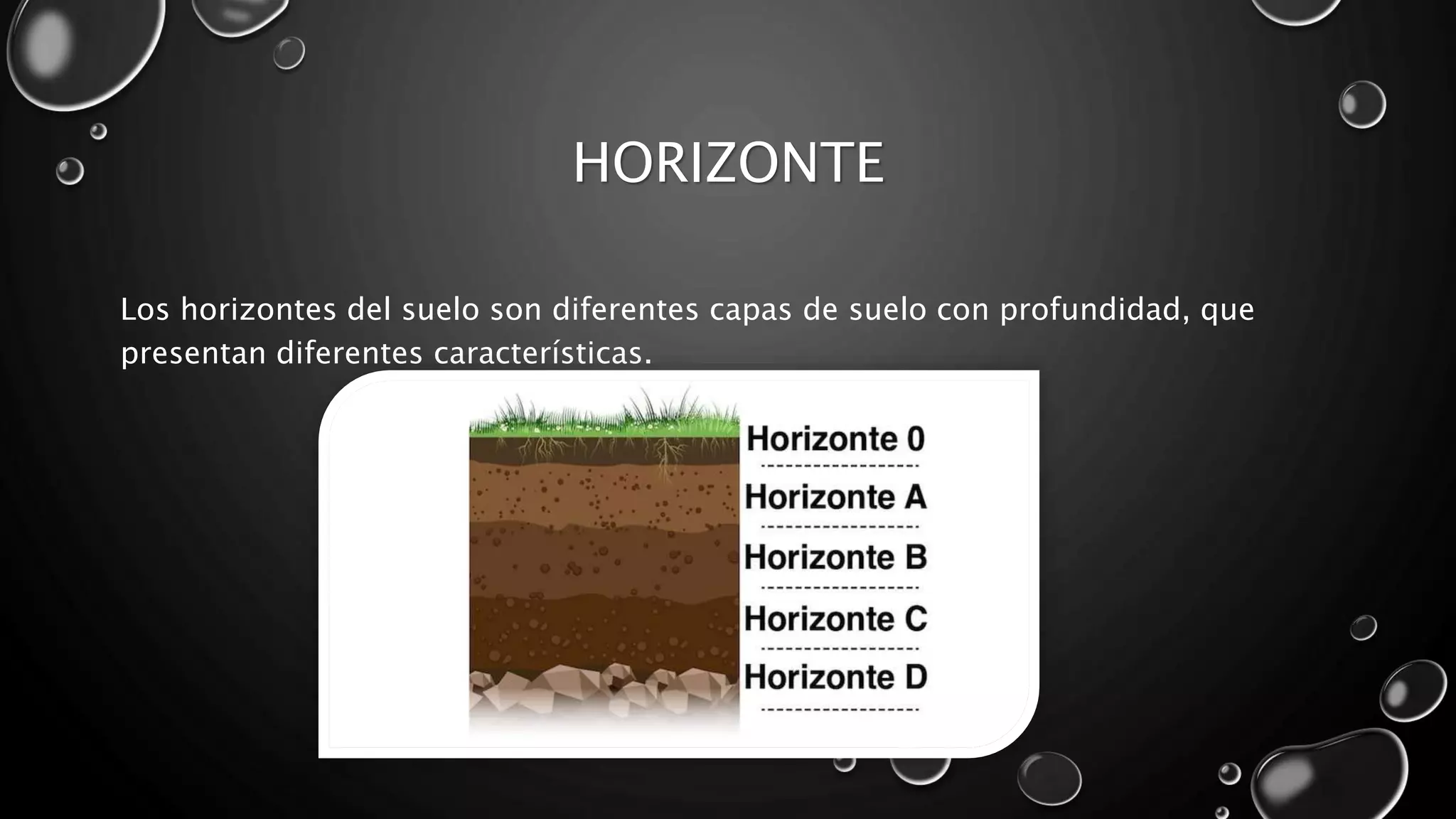Horizontes y perfiles de suelo | PPTX
