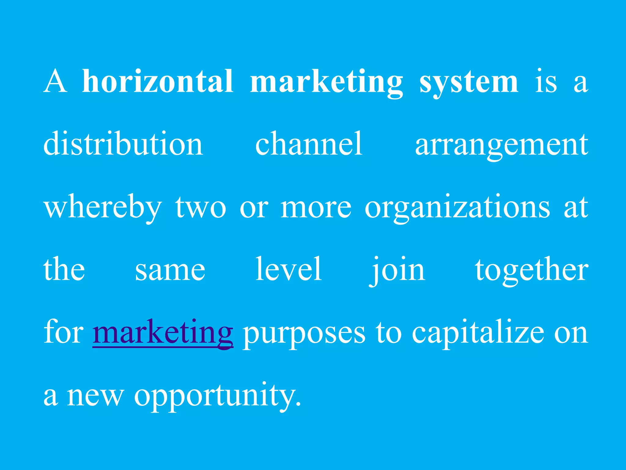 Horizontal Marketing System | PPTX