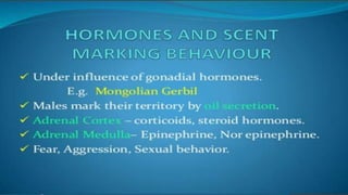 ETHOLOGY-HORMONES & BEHAVIOR | PPTX