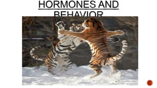 ETHOLOGY-HORMONES & BEHAVIOR | PPTX