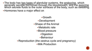 ETHOLOGY-HORMONES & BEHAVIOR | PPTX