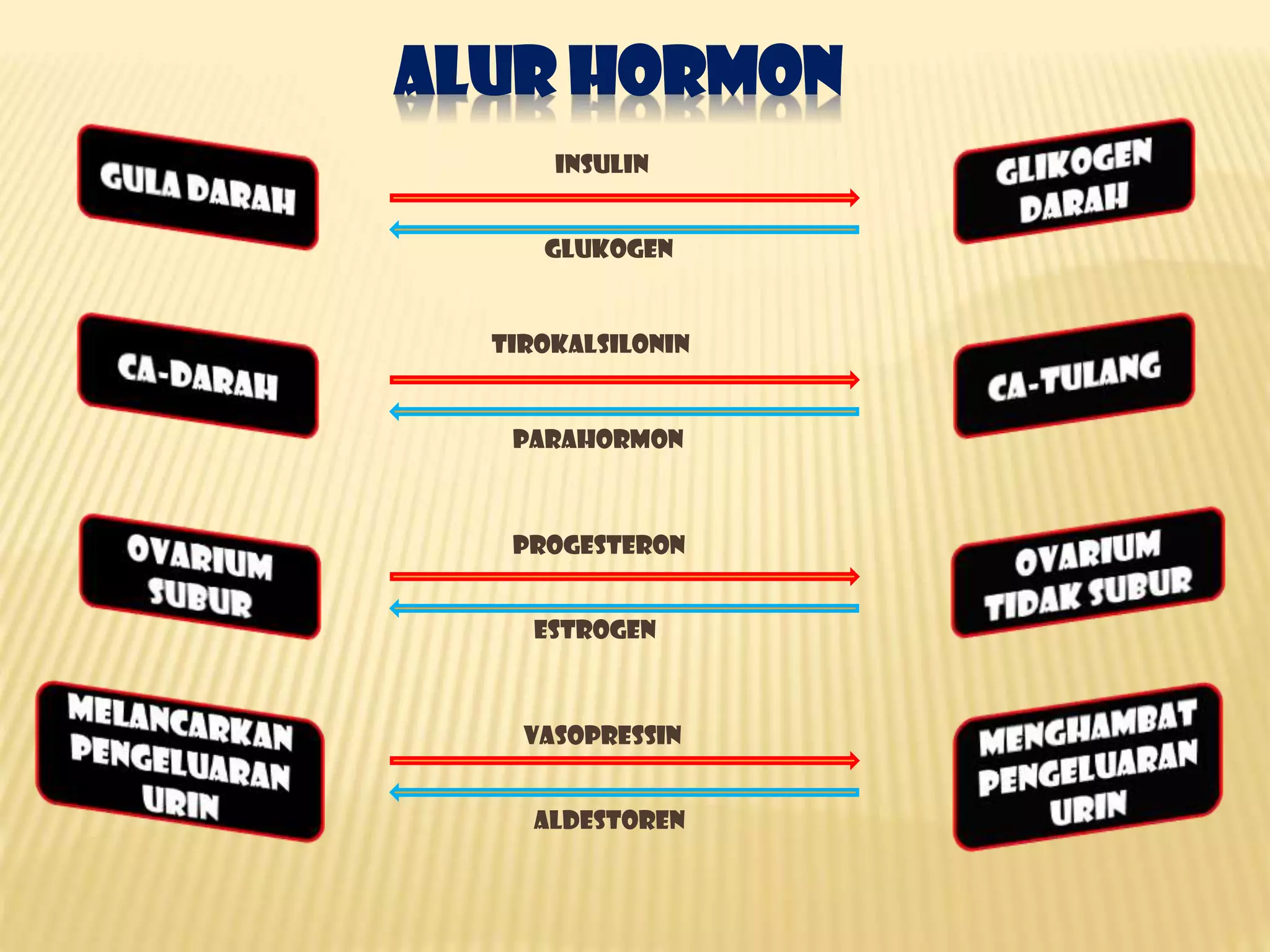 hormon pada tubuh manusia - biologi | PPT