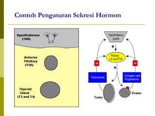 Hormon reproduksi | PPT