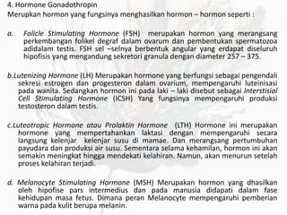 HORMON.pptx