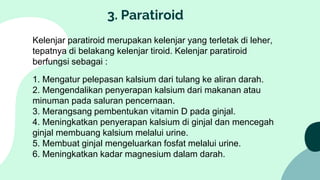 hormon.pptx