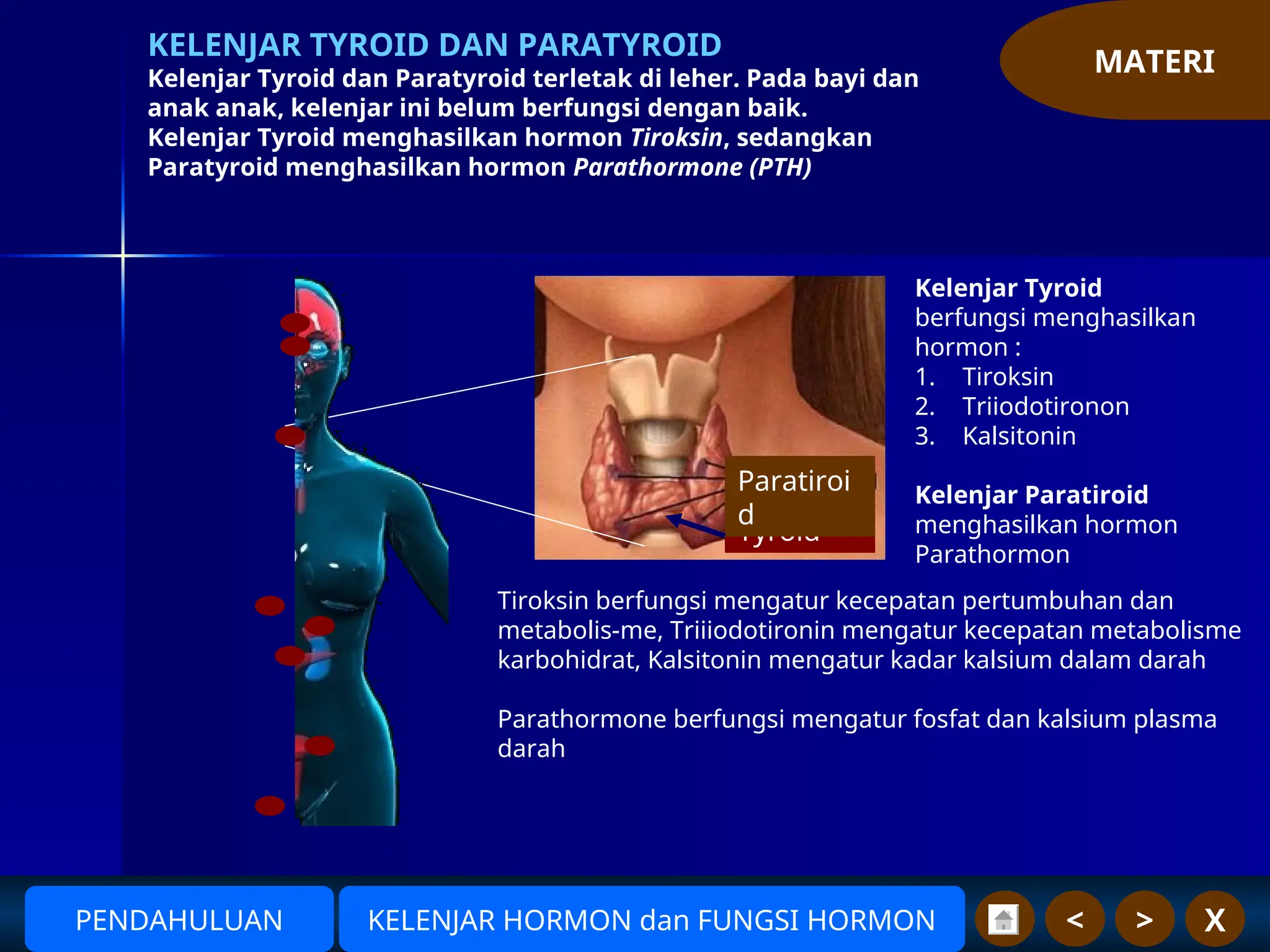 materi hormon kelas XI Sekolah Menengah Atas.ppt