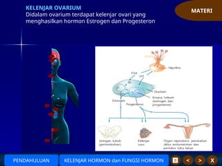 materi hormon kelas XI Sekolah Menengah Atas.ppt