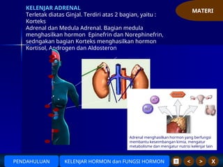 materi hormon kelas XI Sekolah Menengah Atas.ppt