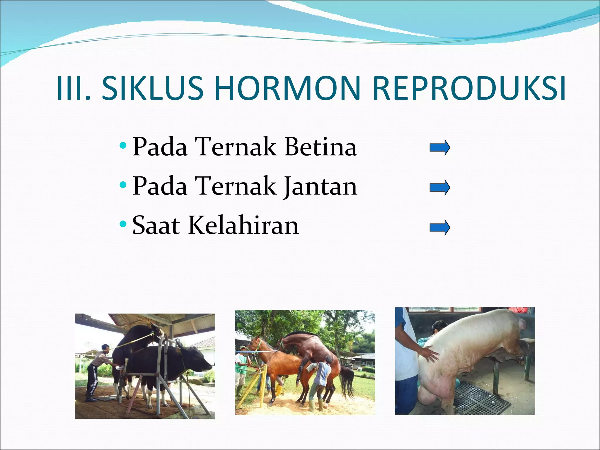 Hormon hormon reproduksi 2010 | PPT