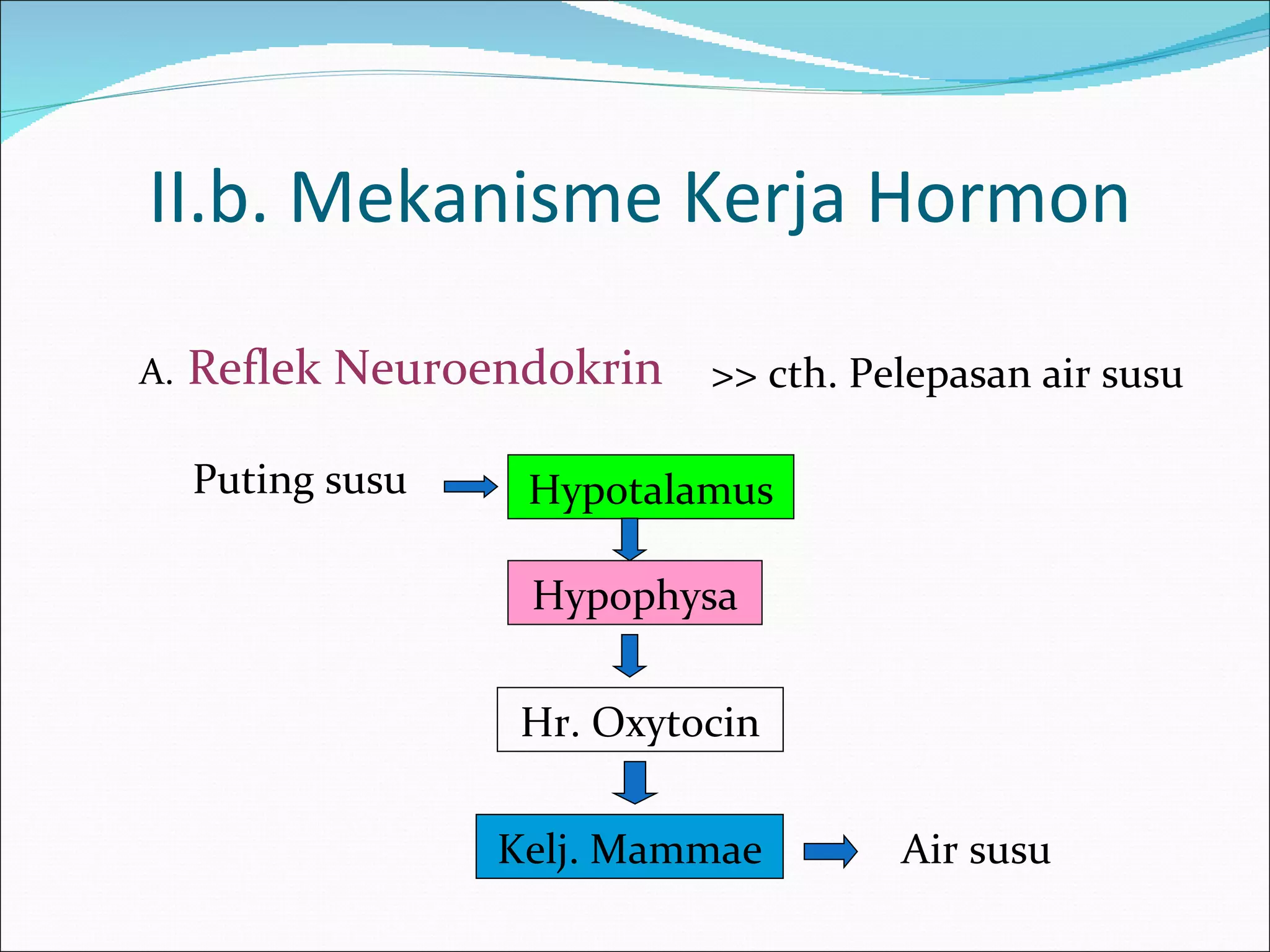 Hormon hormon reproduksi 2010 | PPT