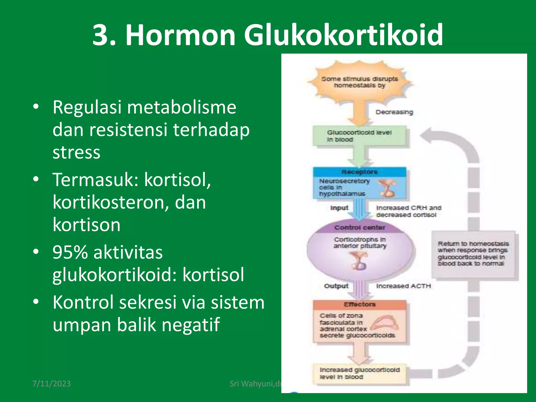 Hormon-hormon Yang Berperan Dalam Metabolisme.pptx