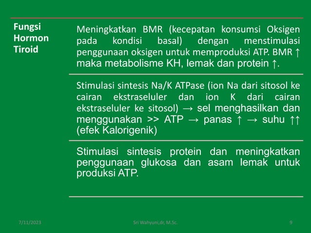 Hormon-hormon Yang Berperan Dalam Metabolisme.pptx