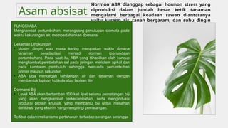hormon (2).pptx tanaman fitohormon pada tumbuhan | PPTX