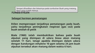 hormon (2).pptx tanaman fitohormon pada tumbuhan | PPTX