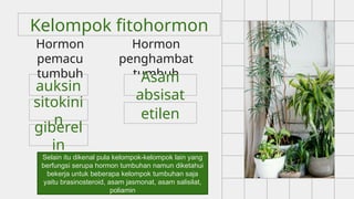 hormon (2).pptx tanaman fitohormon pada tumbuhan | PPTX