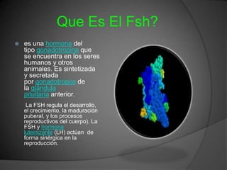 Hormona foliculoestimulante | PPTX