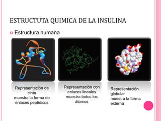 Hormona insulina~ | PPTX