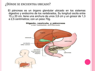 Hormona insulina~ | PPTX