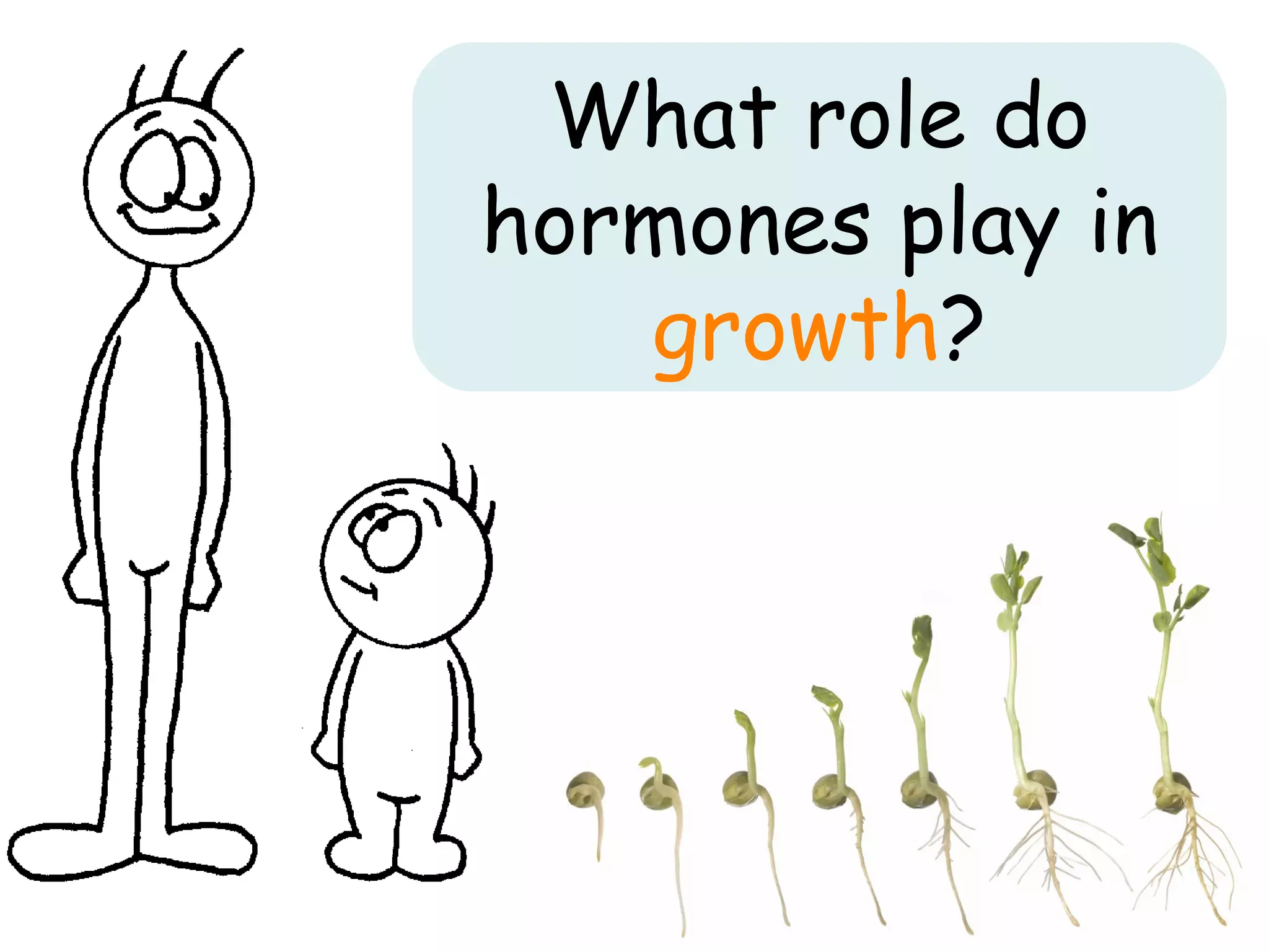 Hormonal Influences | PPT