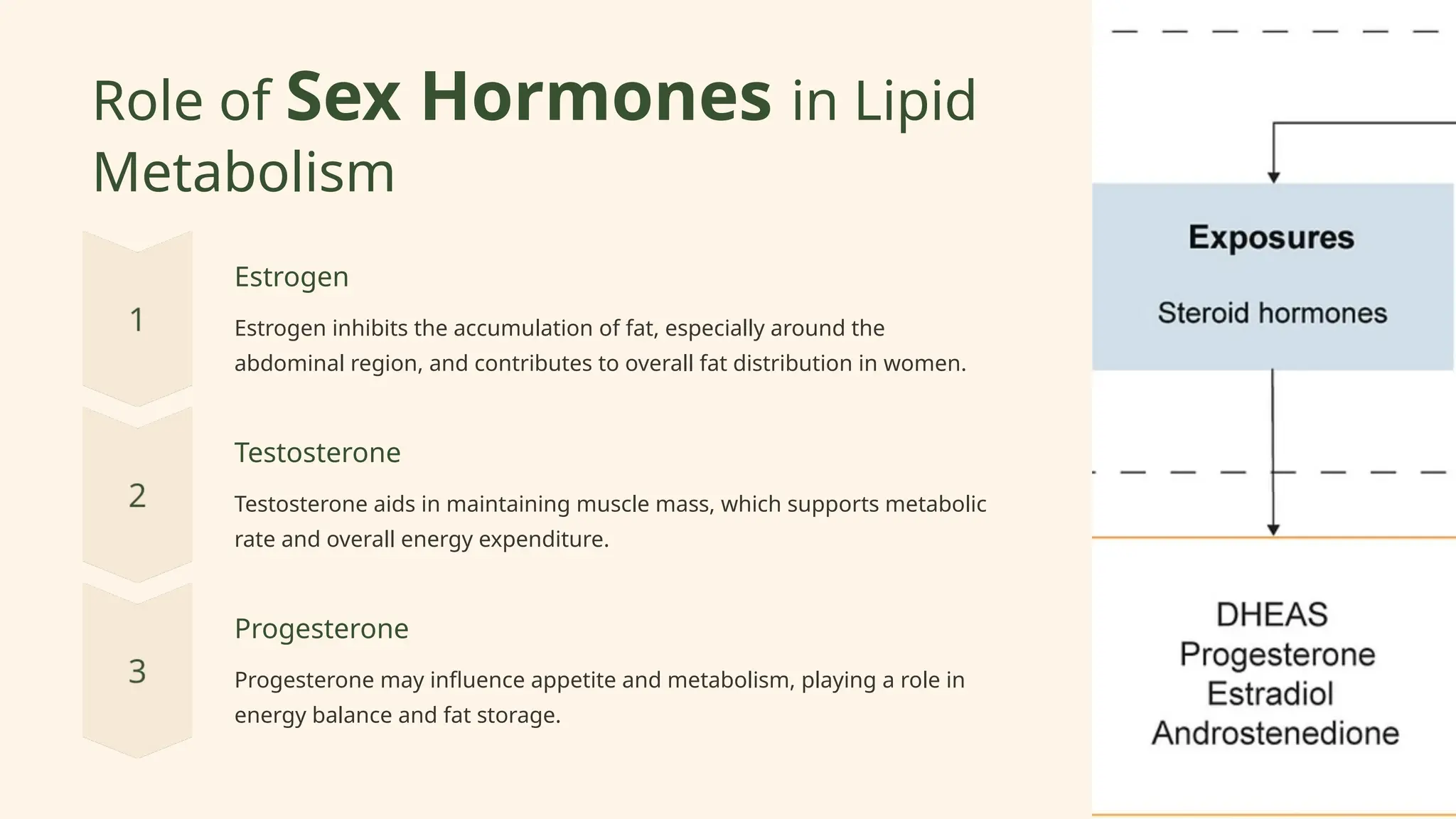 Hormonal-Regulation-of-Lipid-Metabolism.pptx