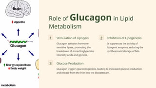 Hormonal-Regulation-of-Lipid-Metabolism.pptx