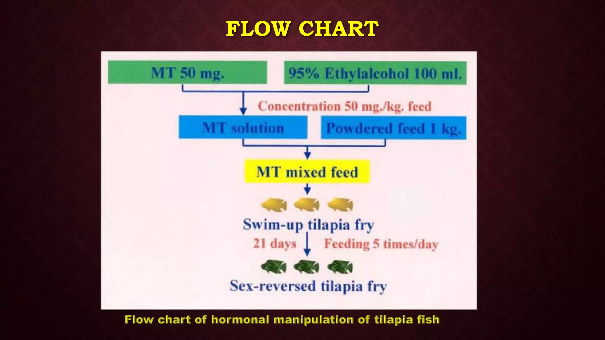 Hormonal Sex Manipulation Ppt