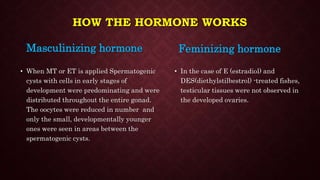 Hormonal sex manipulation | PPTX