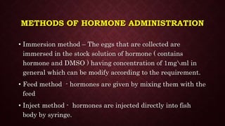 Hormonal sex manipulation | PPTX