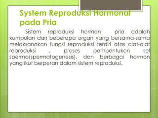 Hormon alami pria | PPTX