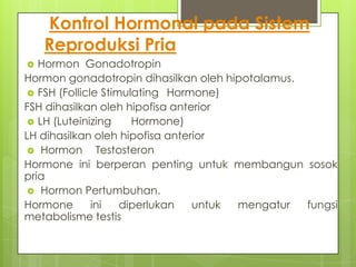 Hormon alami pria | PPTX