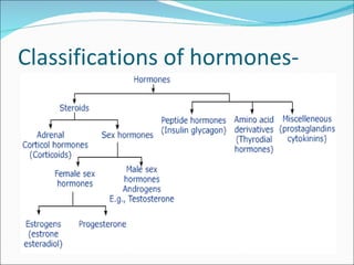 Hormonal basis of reproduction | PPT