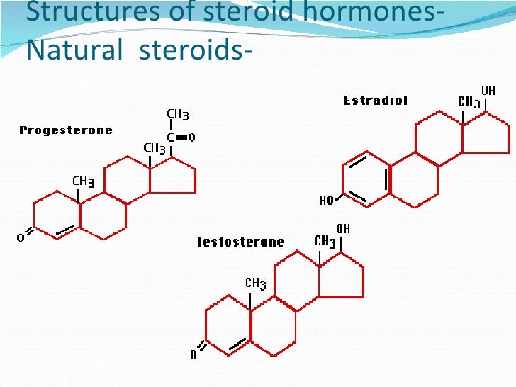 Hormonal basis of reproduction