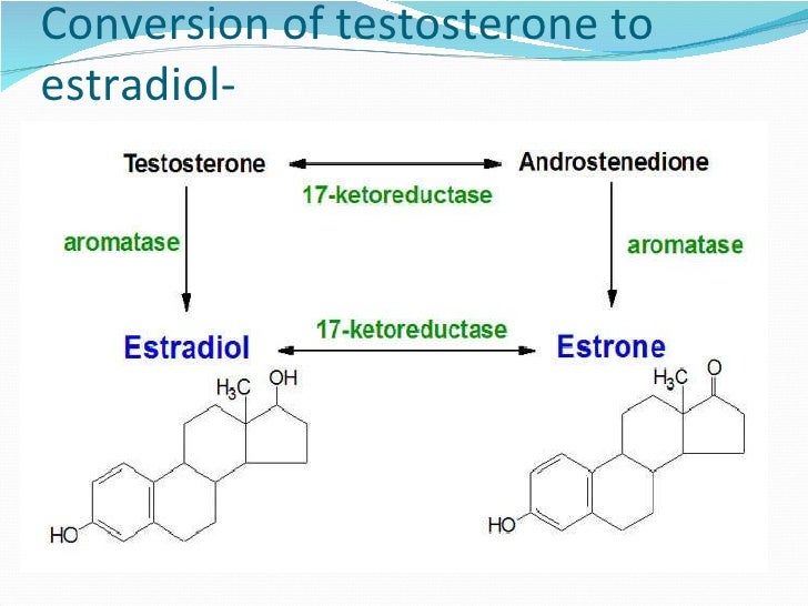 Hormonal basis of reproduction