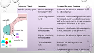 Hormonal cascade system involving hypothalamus | PPT