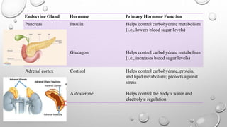 Hormonal cascade system involving hypothalamus | PPT