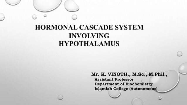 Hormonal cascade system involving hypothalamus | PPT