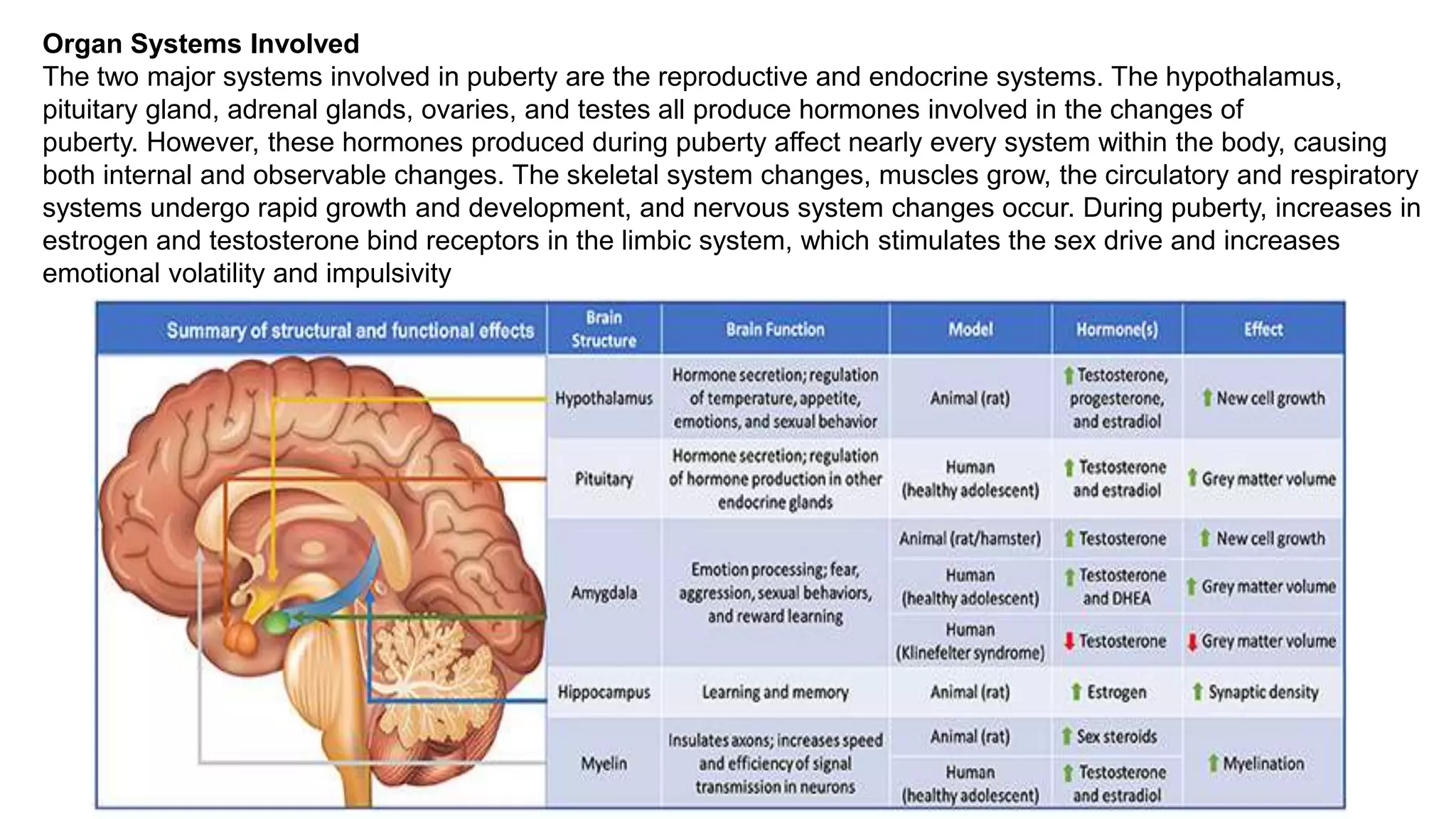 Hormonal Changes in puberty.ppt